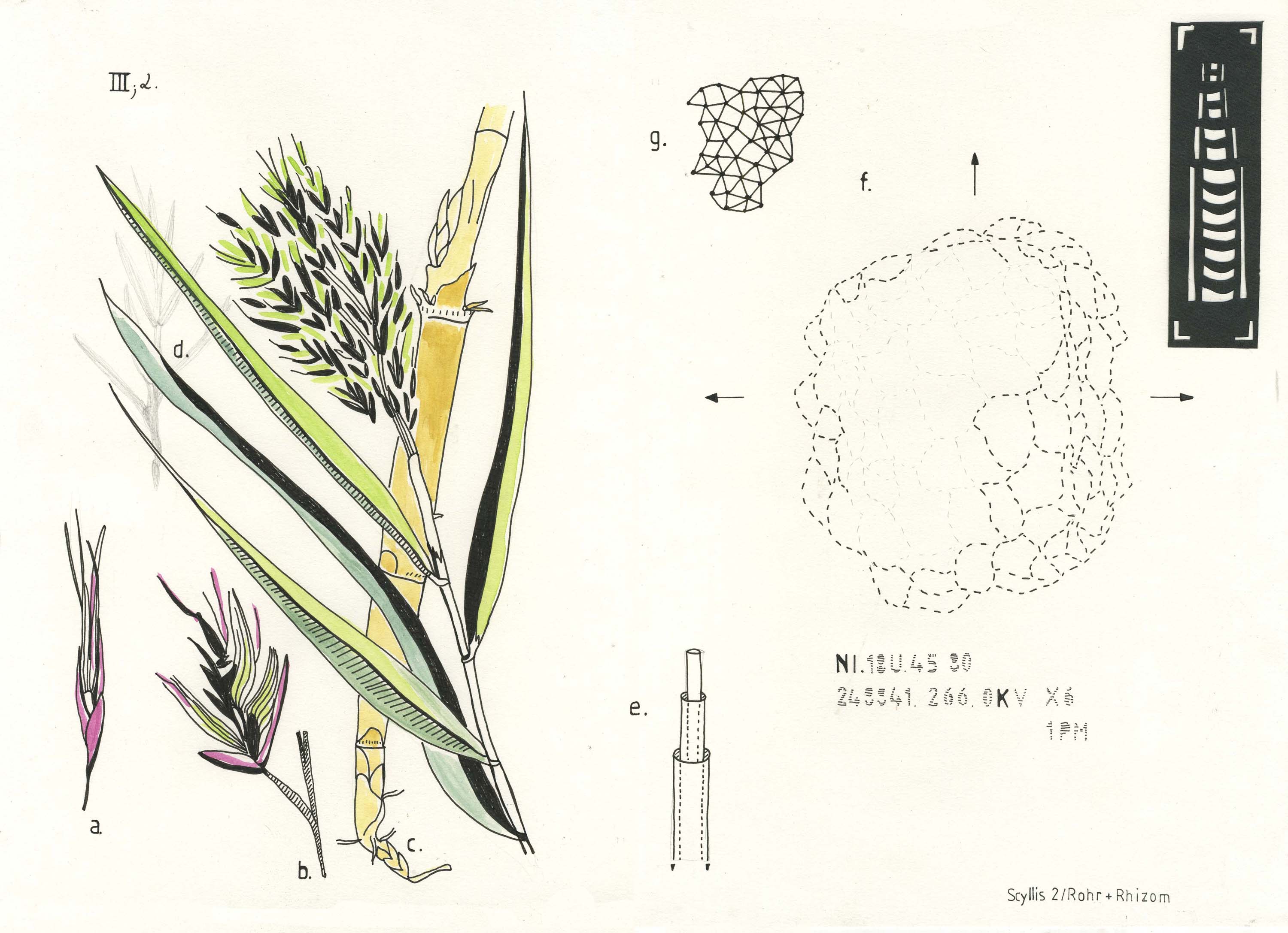 bbk Brandenburg — Sprengel, Doris